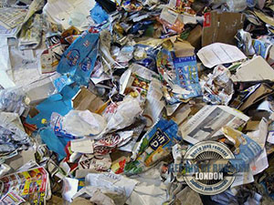 Junk Removals London » This is Why Proper Waste Management is Important